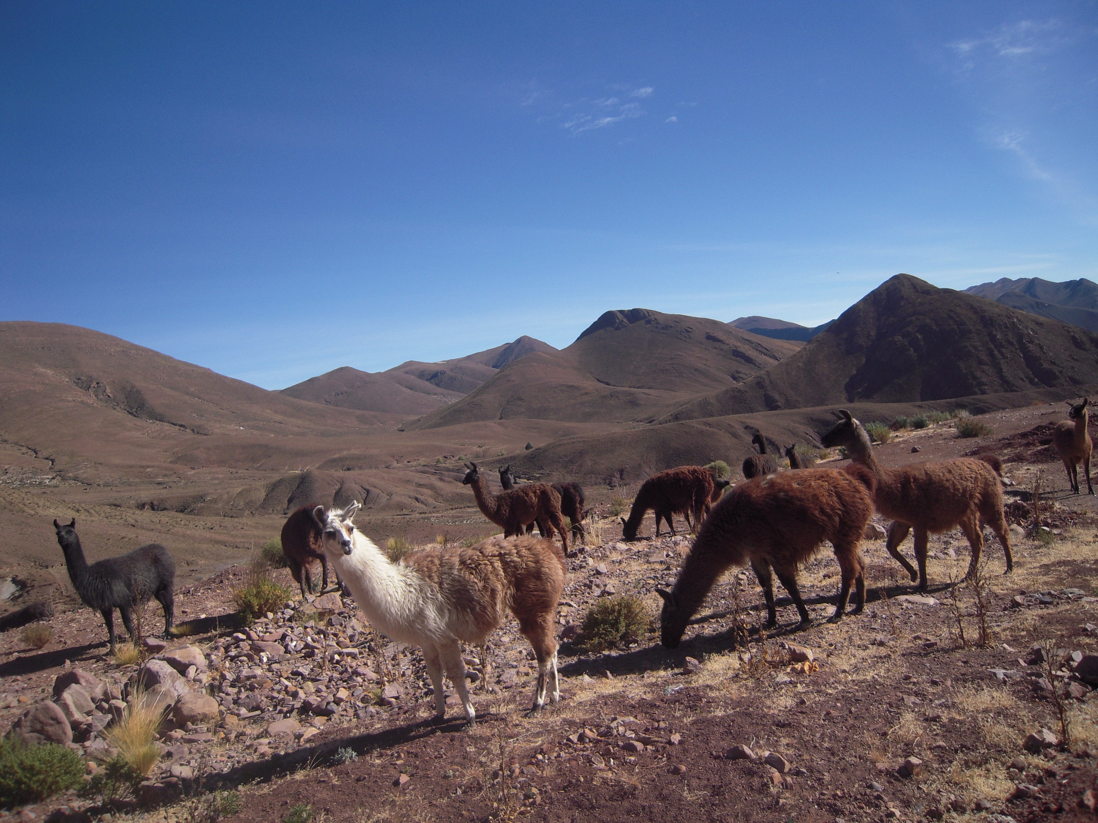 destination UYUNI | Rutas del Sur